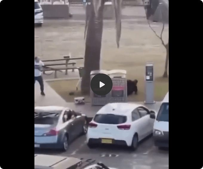 Dean Obeidallah (@deanobeidallah): "This is the footage of the ...