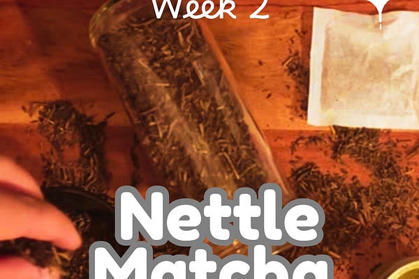 The Minimalist Herbalist | Substack