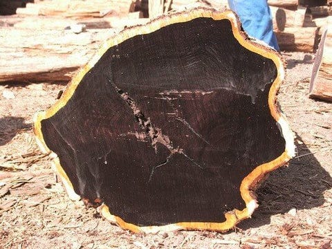 The Mysterious Algum Wood - by Kenneth Griffith