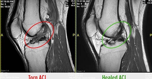 Mick Hughes | Substack