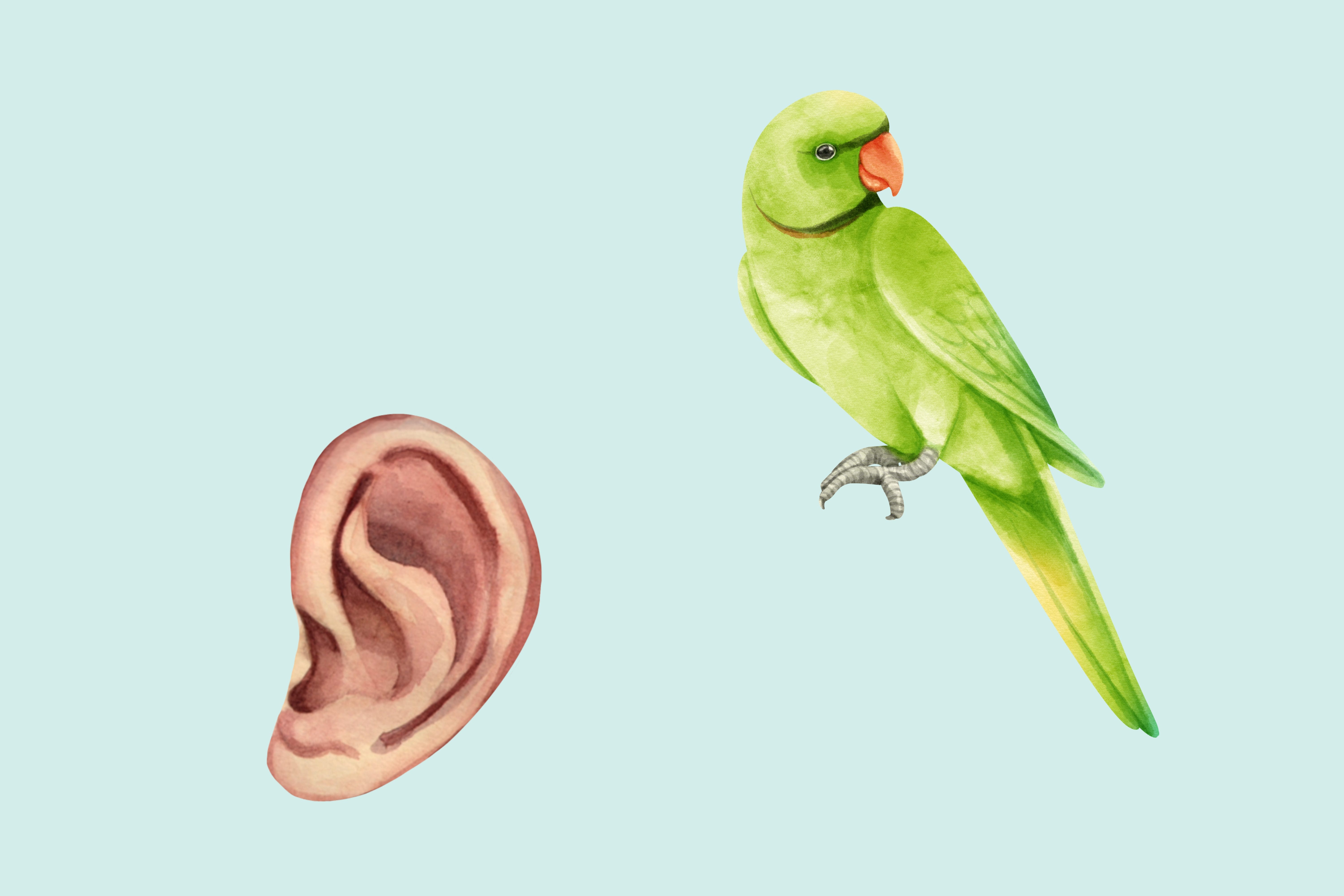 What Does Great Empathy Look Like? - by Emily Sheen