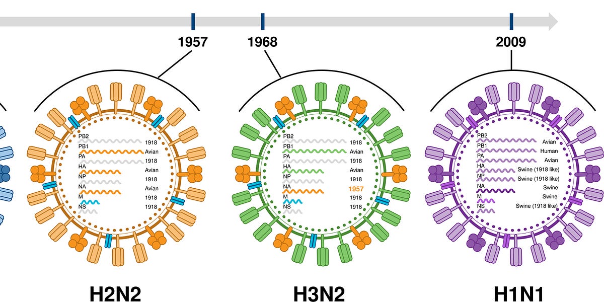 The Real Subtypes of the 2025 Flu Season