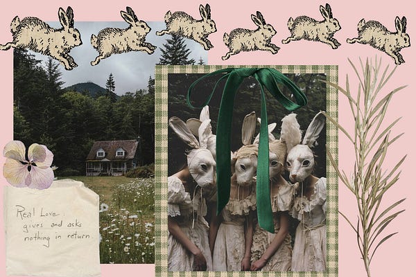 Fairy Tales by Caroline | Substack
