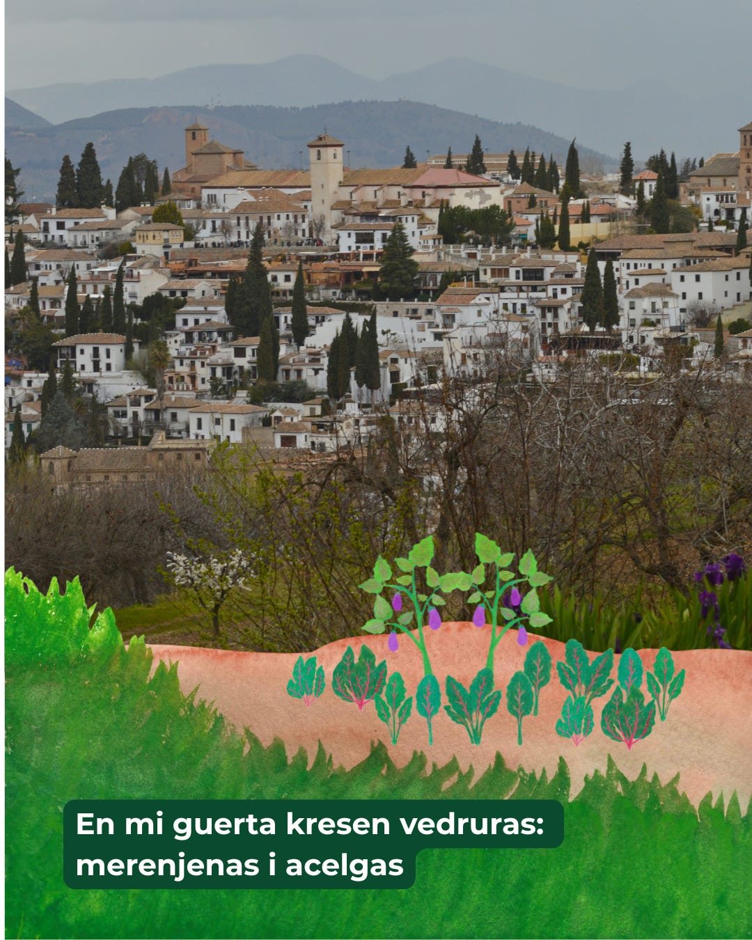 En Mi Guerta: In My Garden - Naomi Spector