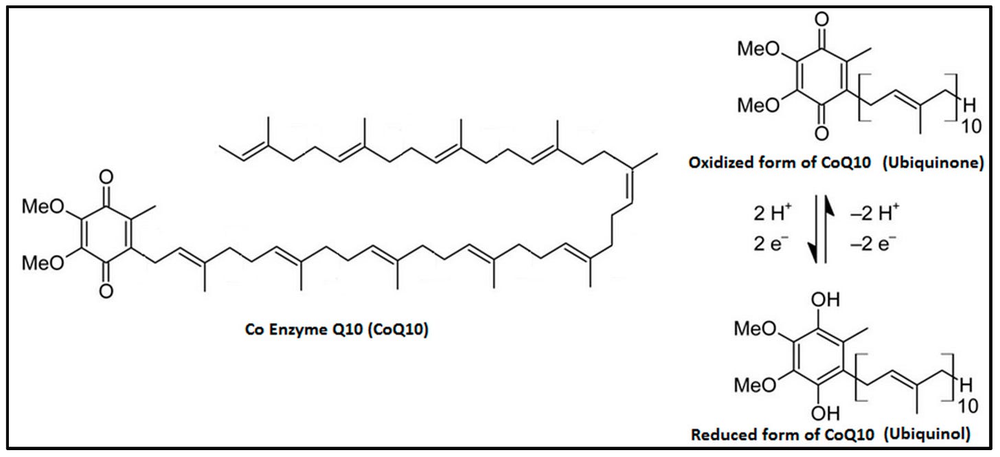 Is CoQ10 the molecule that will finally improve your health?