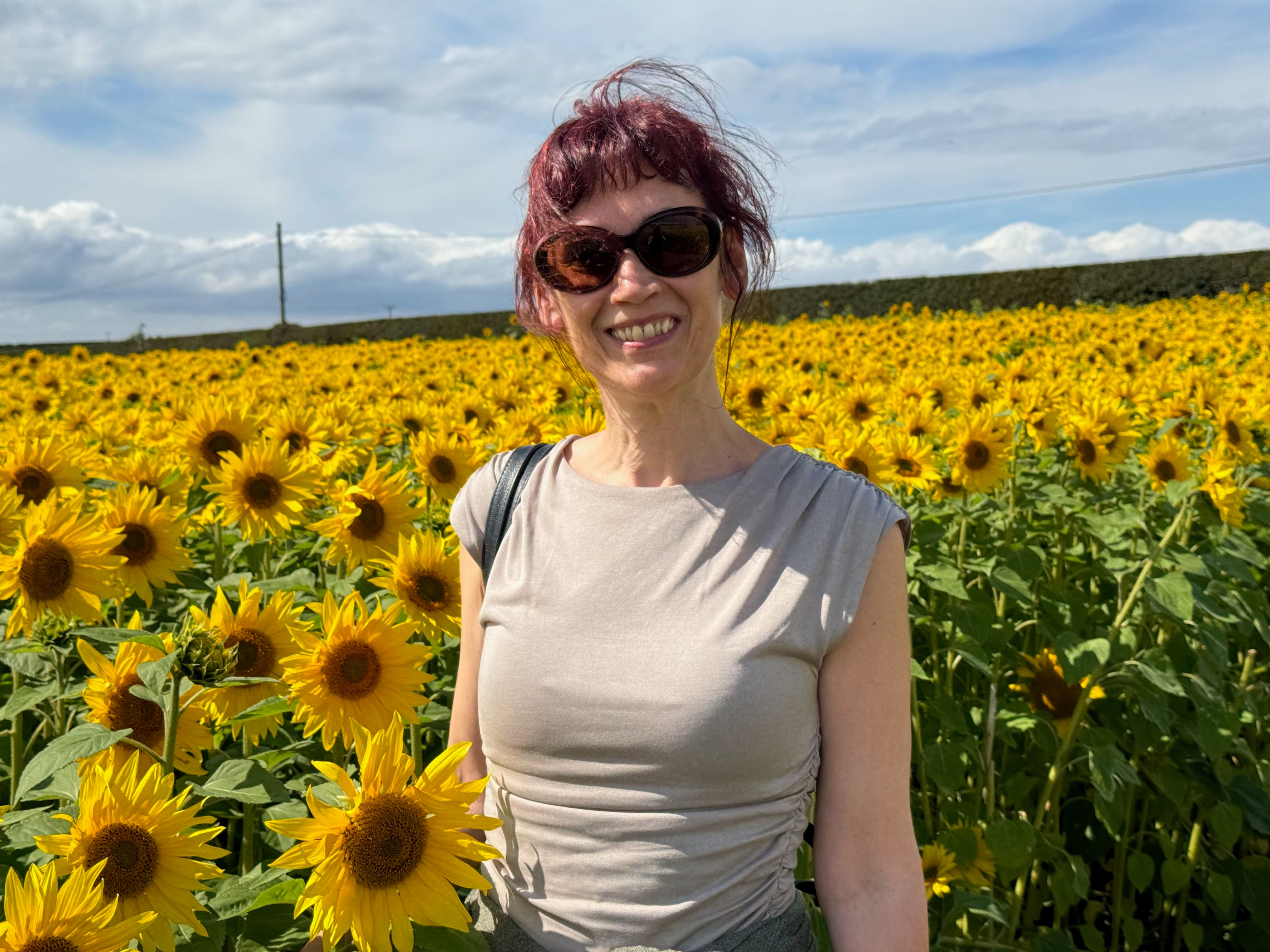 Sassy Sunflower Trail at Balgone Estate - by JulieBettyB