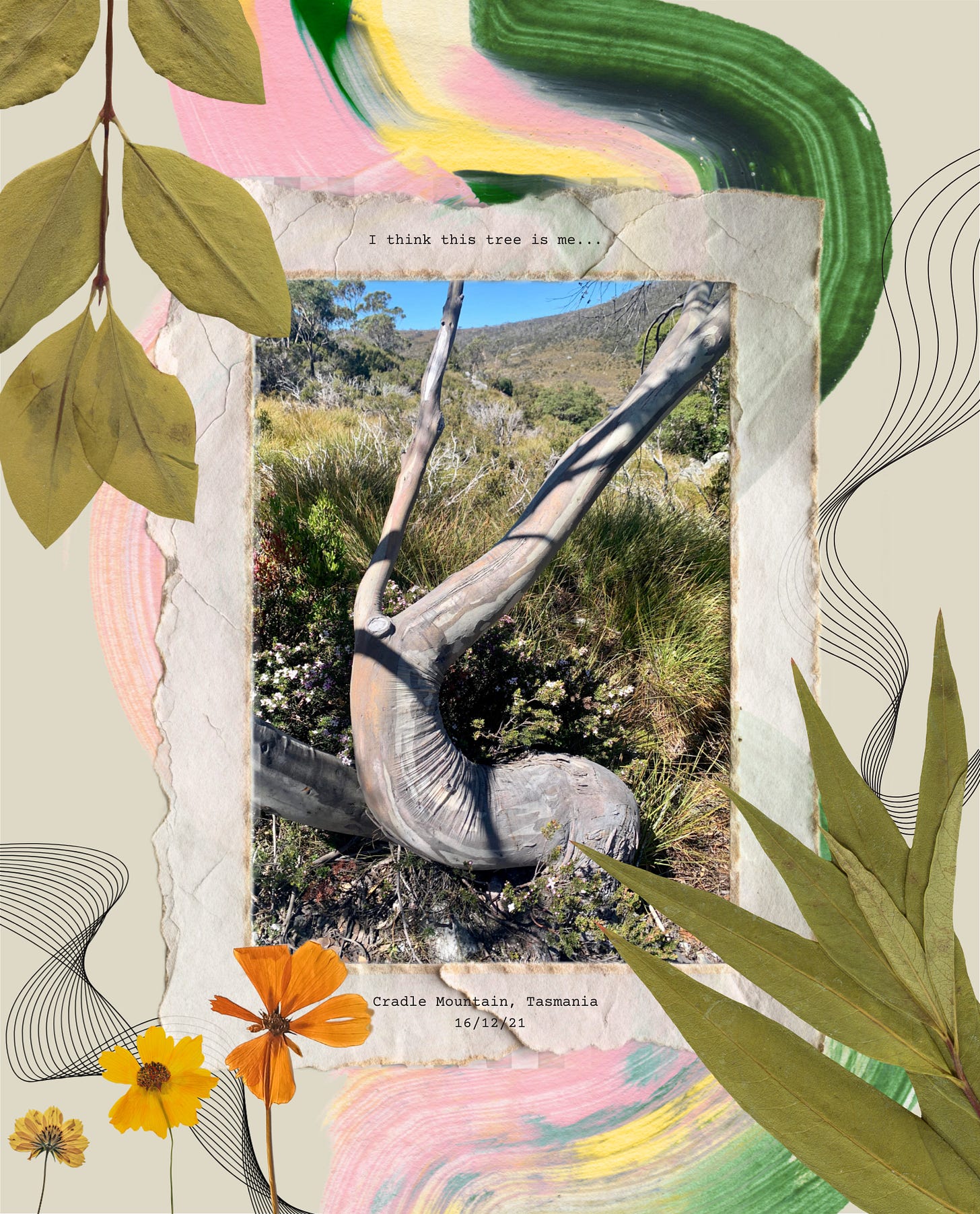 I think this tree is me... - Libra In Lust