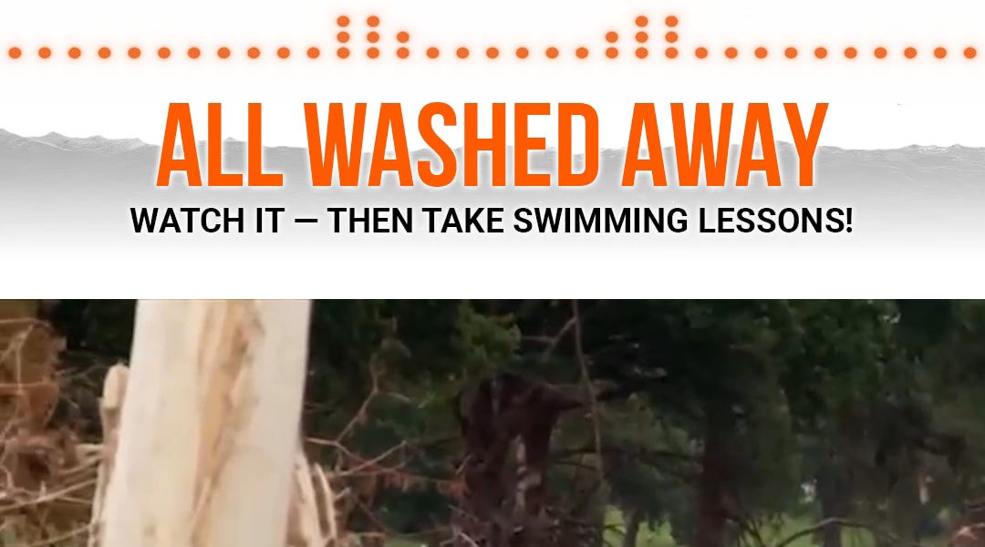 All Washed Away [Trailer]: A Tale of Floods, Fraud and Fatalities