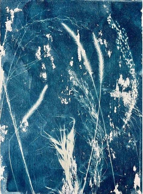 Exploring Cyanotypes: A Beginner’s Guide to This Unique Cameraless ...