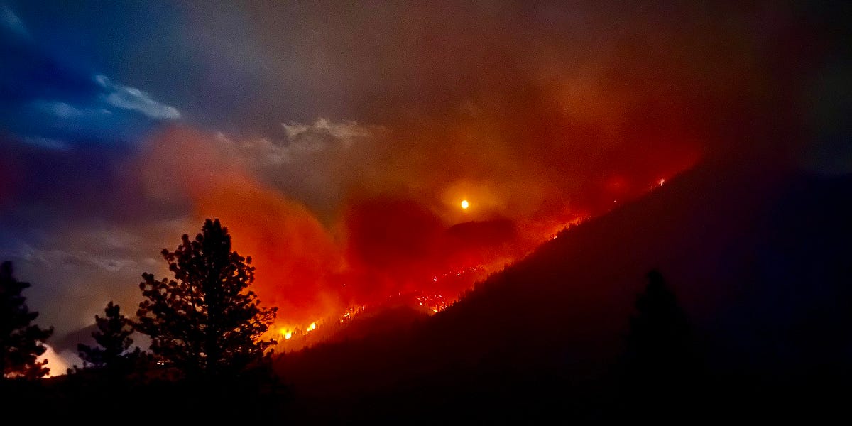 USDA Forest Service's Fire And Aviation Management Director Announces ...