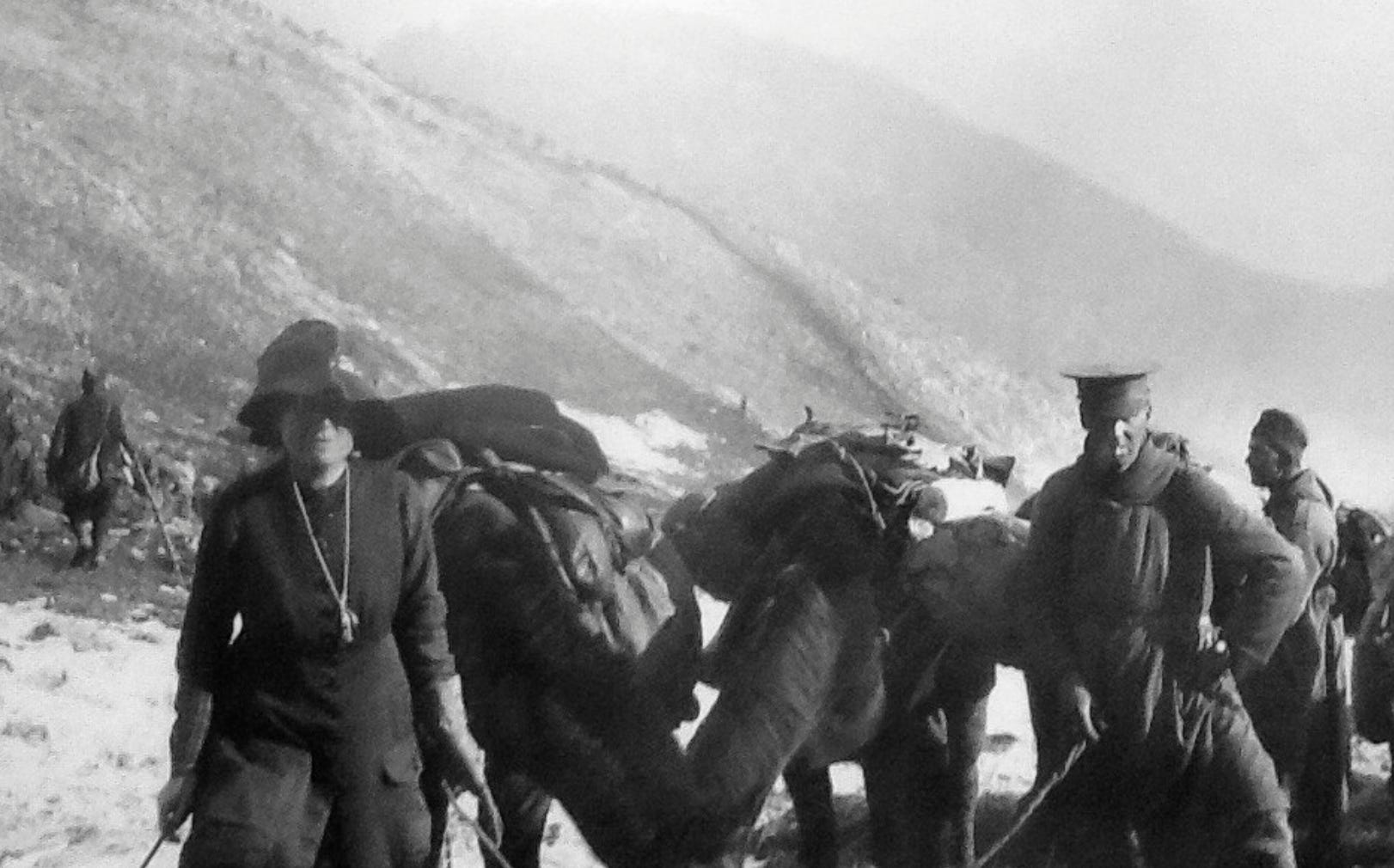 The Story of Flora Sandes - by David Pejčinović-Bailey MBE