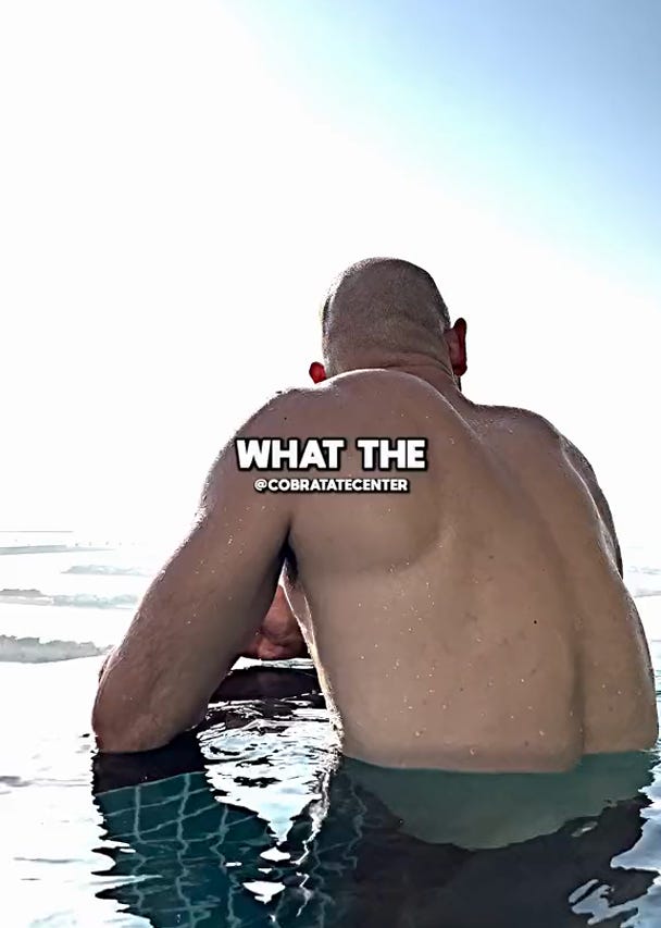 Andrew’s Substack | Andrew tate | Substack