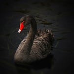 Absolute1776 | Paul Fleuret | Substack