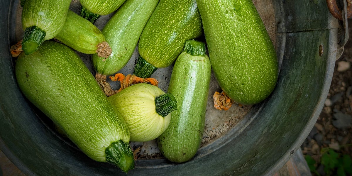 Zucchini Revisited - by Aglaia KREMEZI