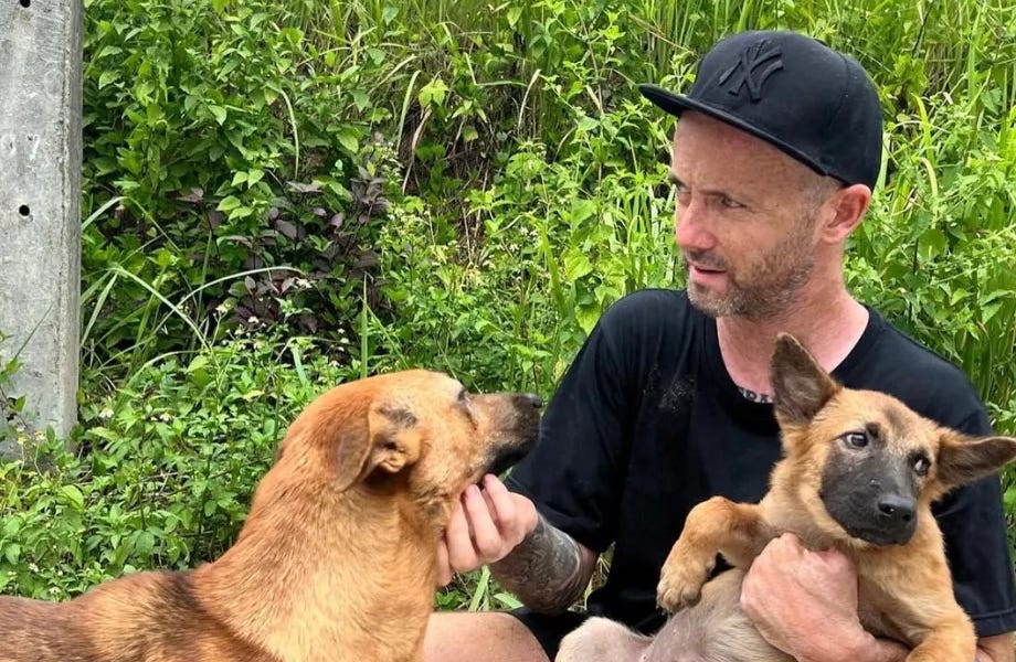 Saving The World's Street Dogs - by Niall Harbison