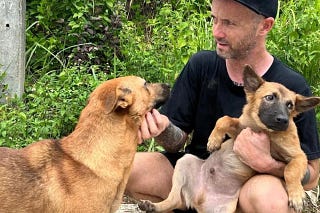 Happy Doggo | Niall Harbison | Substack