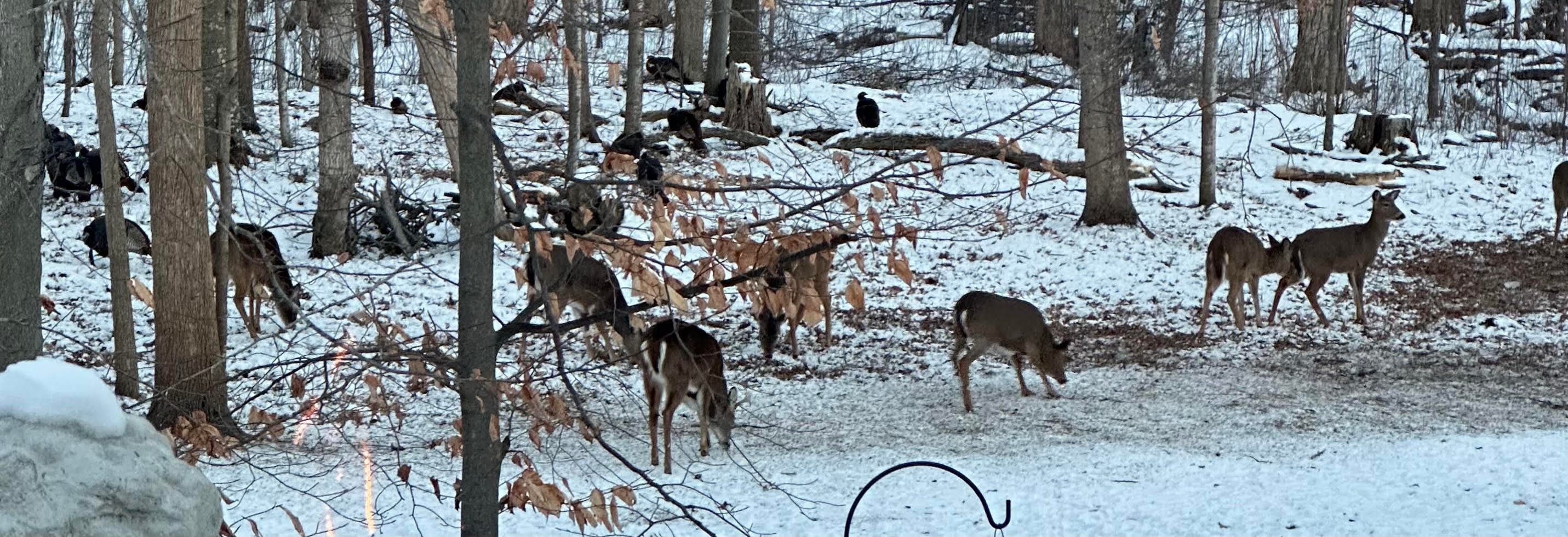 The Little Platoons That Humbled Trump - by Charlie Sykes