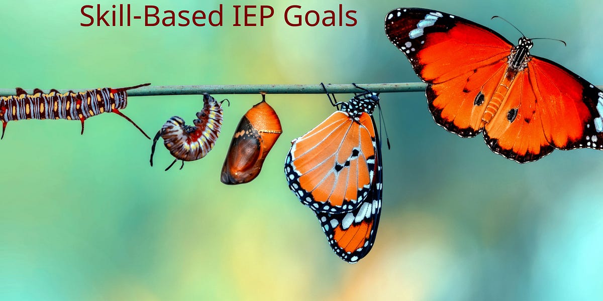 Shifting from Outcome-Only to Skill-Based IEP Goals