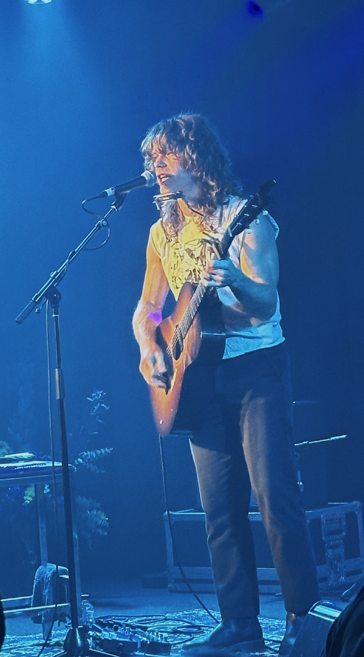 Jesse Welles Alive Down Under - by Paul Busch