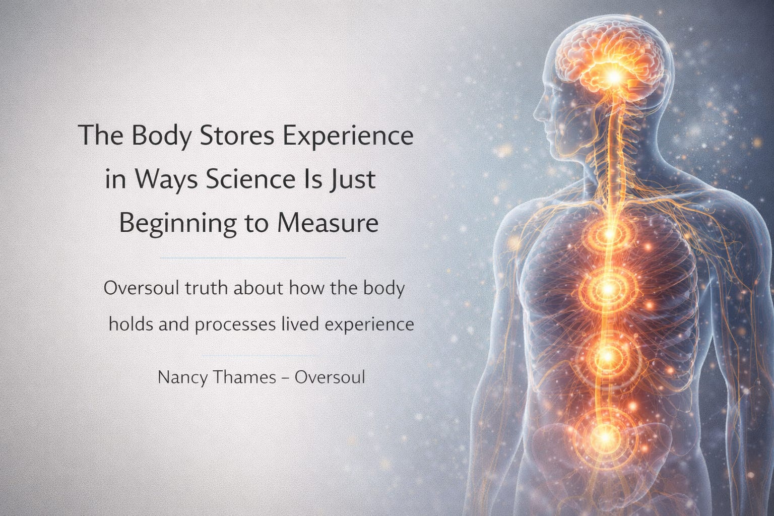 The Body Stores Experience in Ways Science Is Just Beginning to Measure