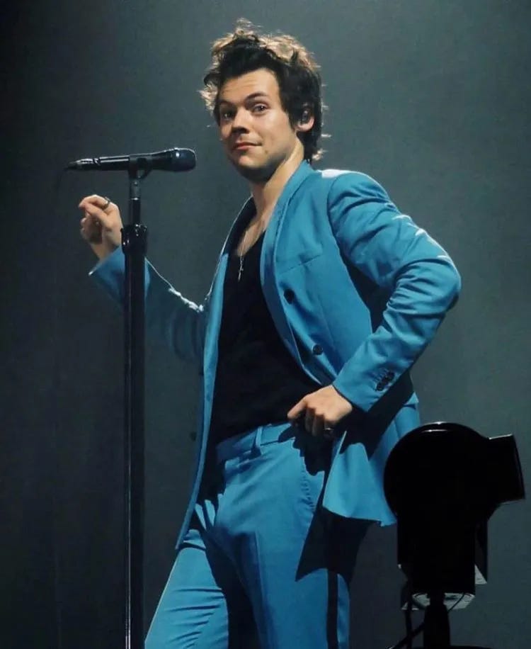 Harry Styles Turns 30 - Learn All His Fandom Nicknames