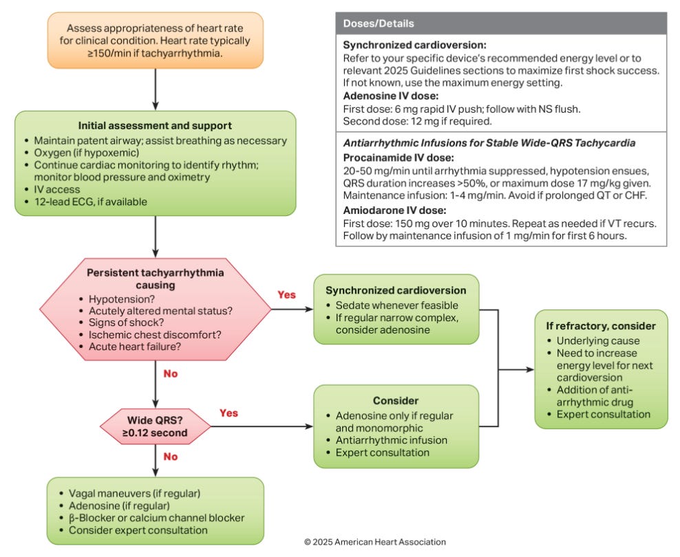 ACLS 2025 - Parte 2 - by Daniel Schubert