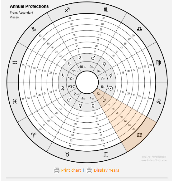 Interpreting Astro Seek Profection Year