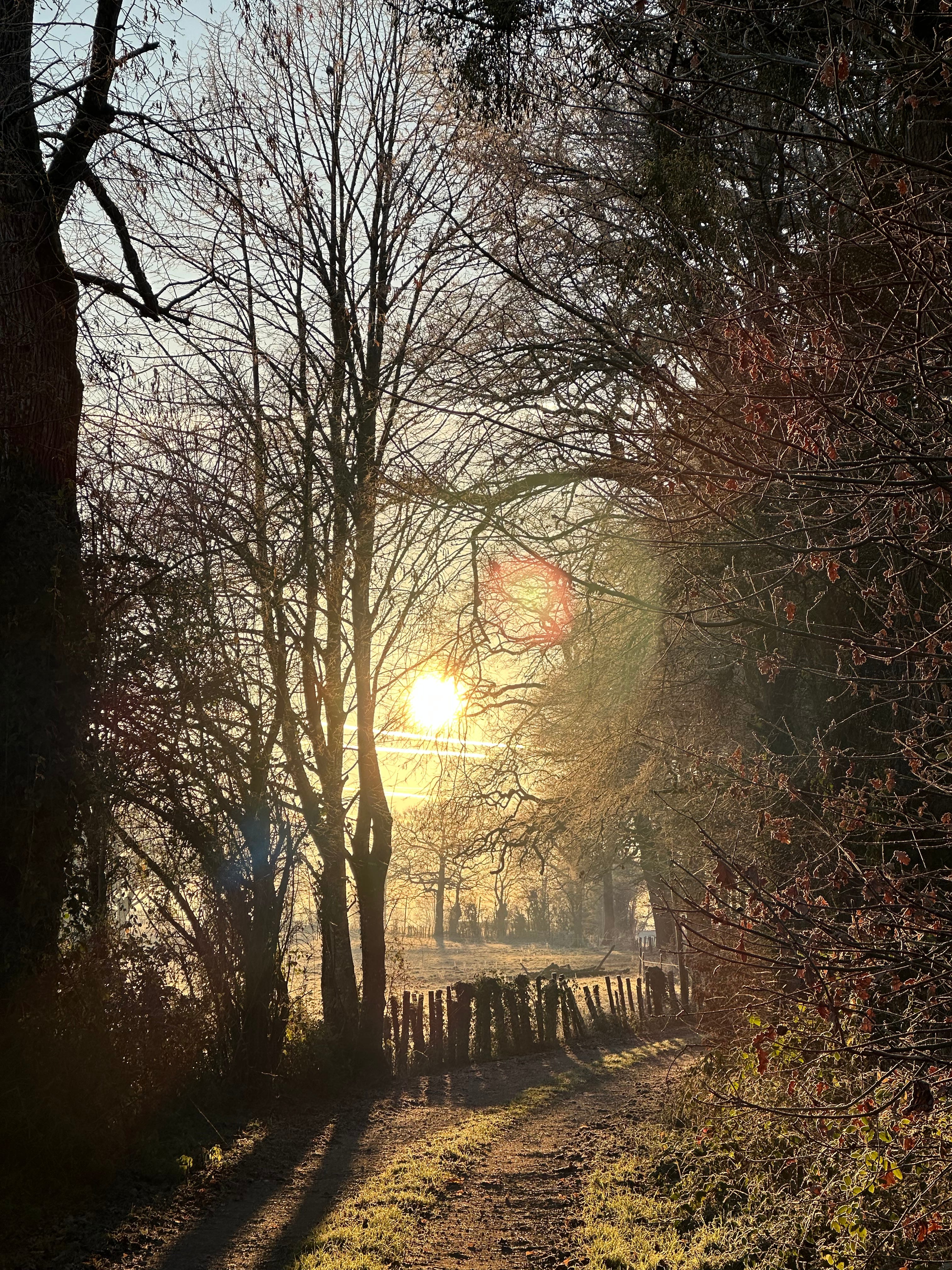 The perfect in between - by Rebecca Jones - Between