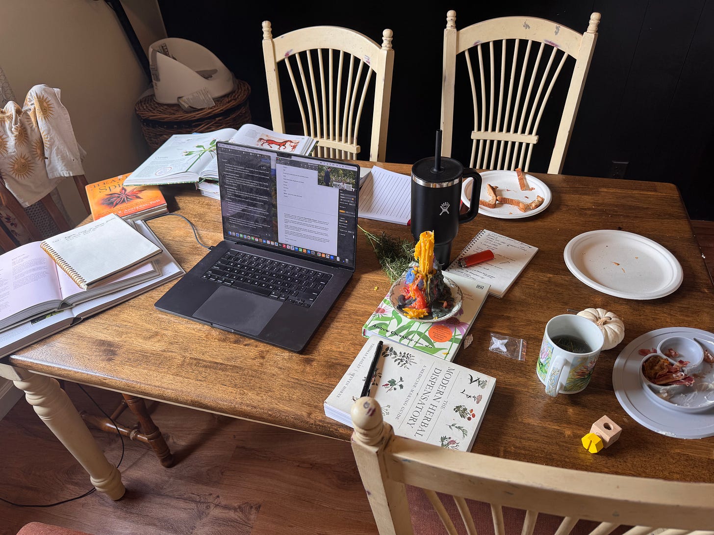 SECRET BOOK SNEAK PEEK! - by Ebby Moyer - Ebby’s Substack