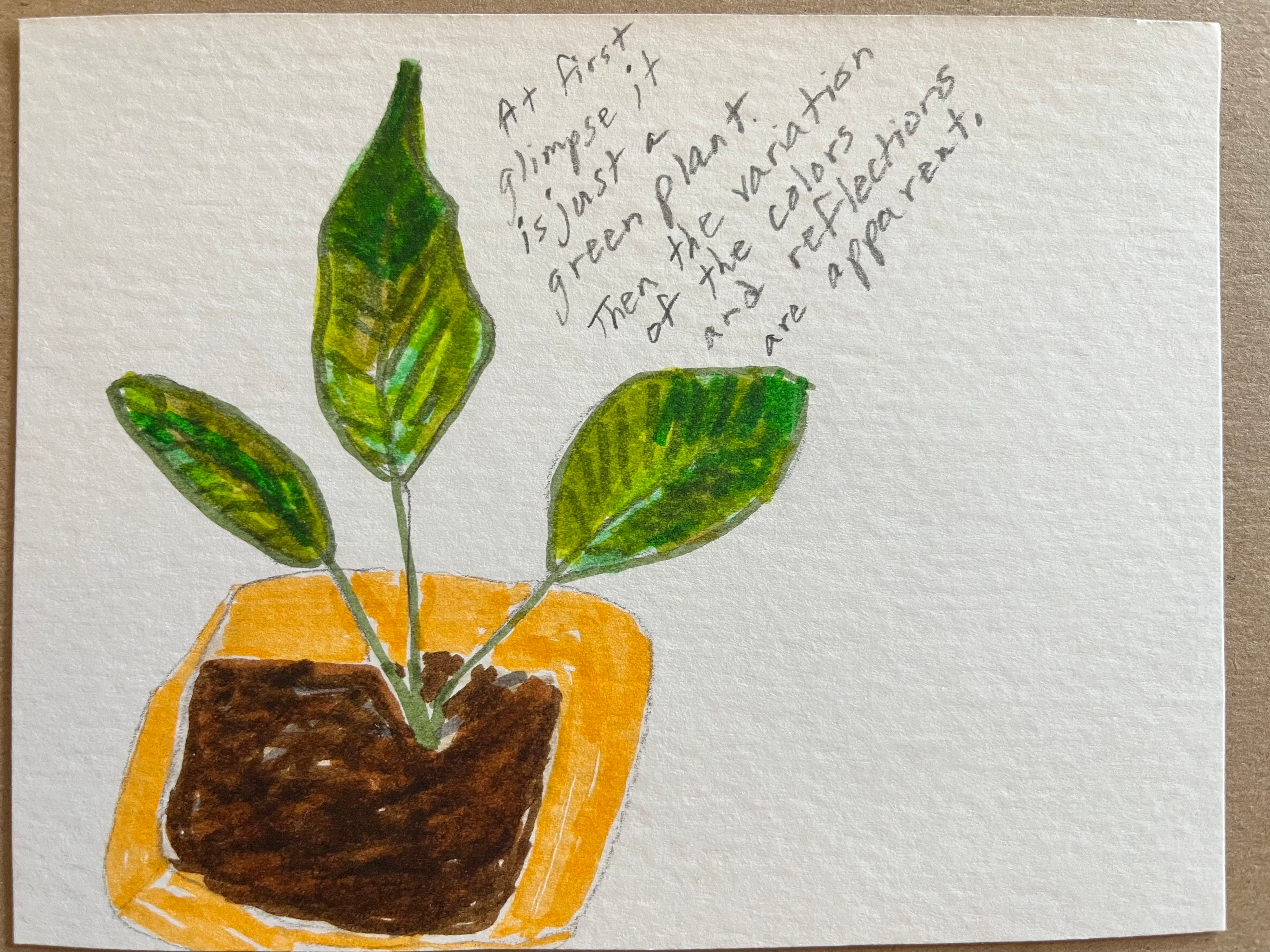 Day 21. Delicious Delights - by Wendy MacNaughton