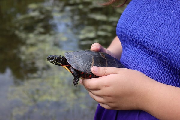 Practical Self Reliance | Ashley Adamant | Substack