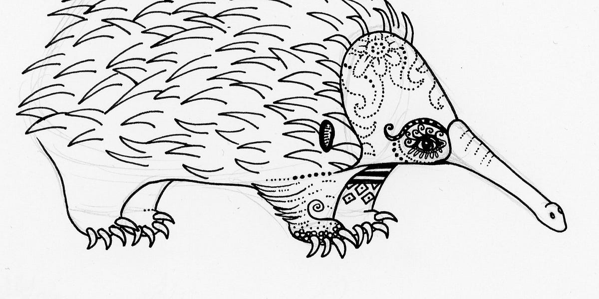 How to Draw - Echidna - by Zinia King - Zinia’s Substack