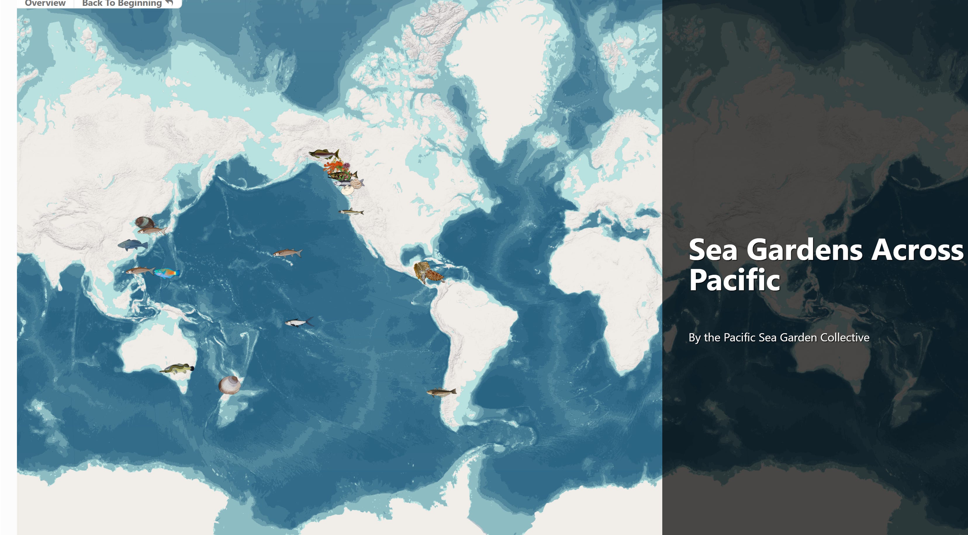 Regenerative Ocean Gardening, Kelp Farming and Marine Permaculture