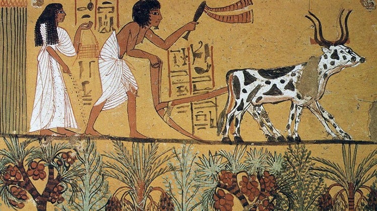 From Grain to God: Plants in Early Mythology - by Madelynne
