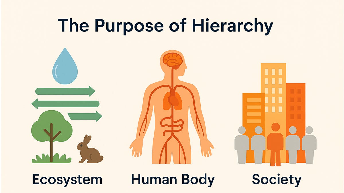 The Purpose of Hierarchy - by Michael Maciel