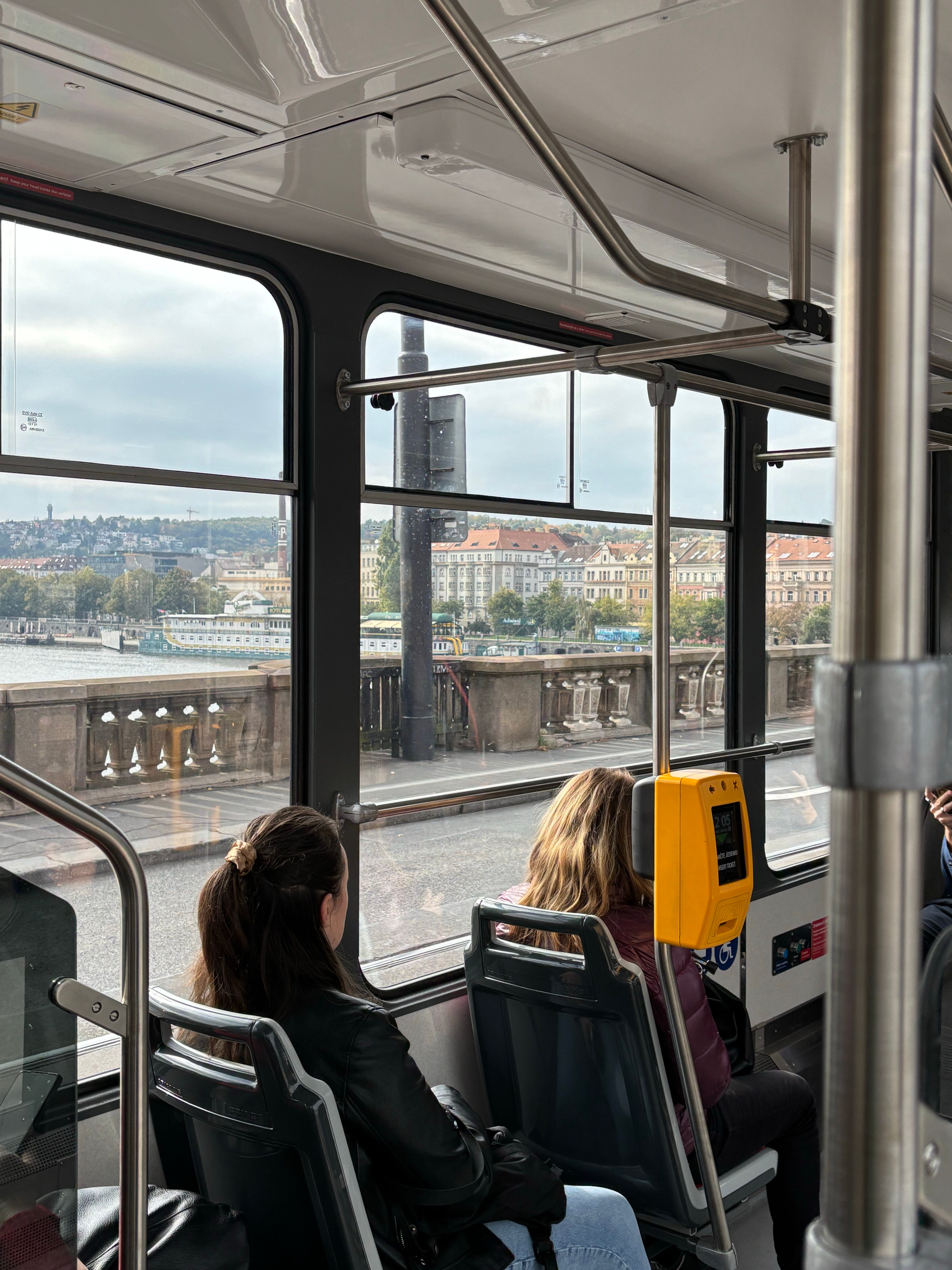 the strange relief of finally letting a dream die