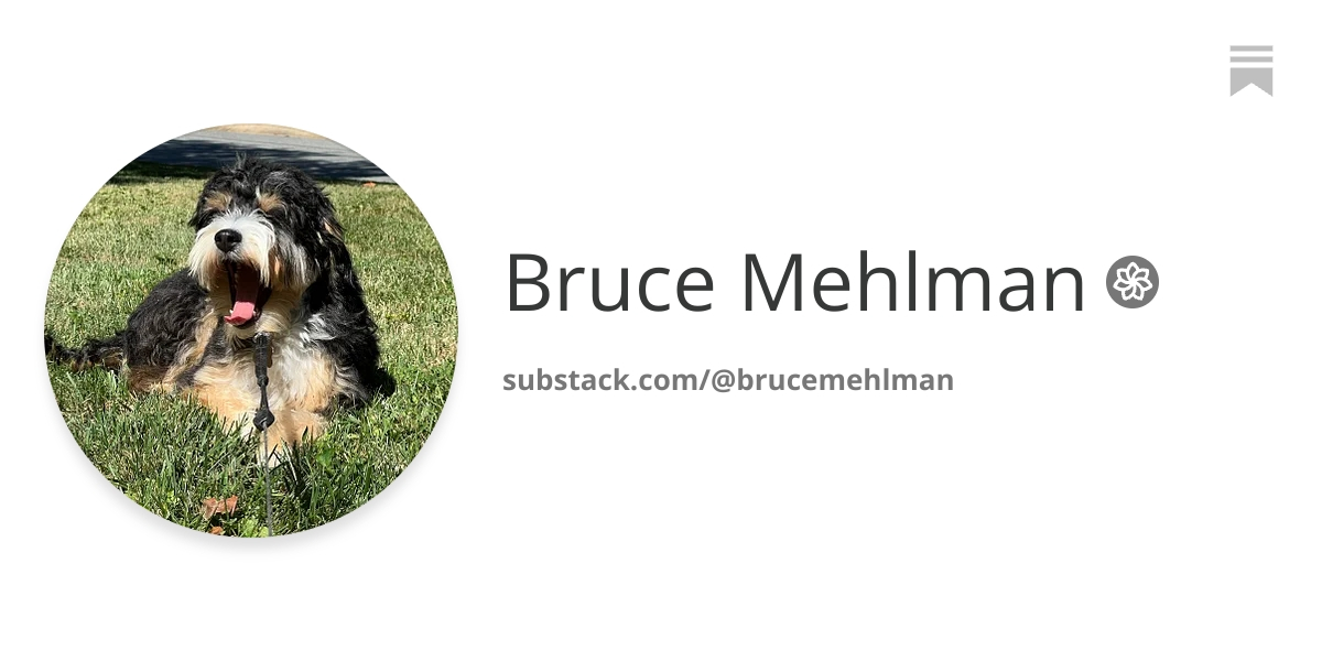 Bruce Mehlman | Substack