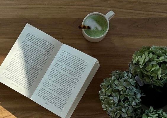 Steph’s Substack | Steph Robinson | Substack