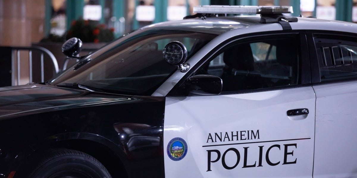 Anaheim PD shows off their intuition in the case of a multi-million ...