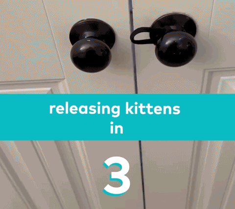 New Year's Adam. Tabs, Tues., Dec. 30, 2025 - by Evan Hurst