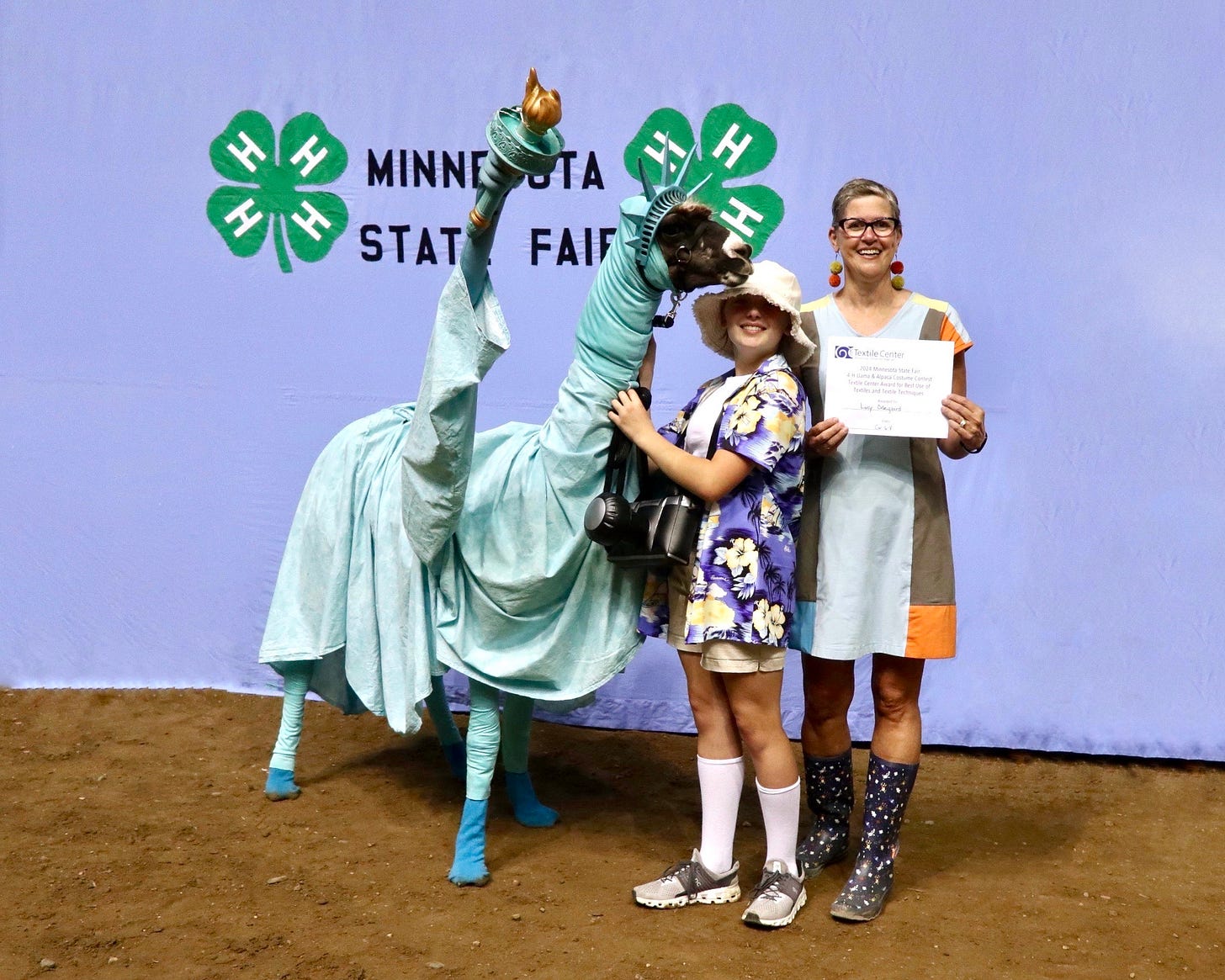 Textile Center rewards creativity at the Minnesota State Fair Llama ...
