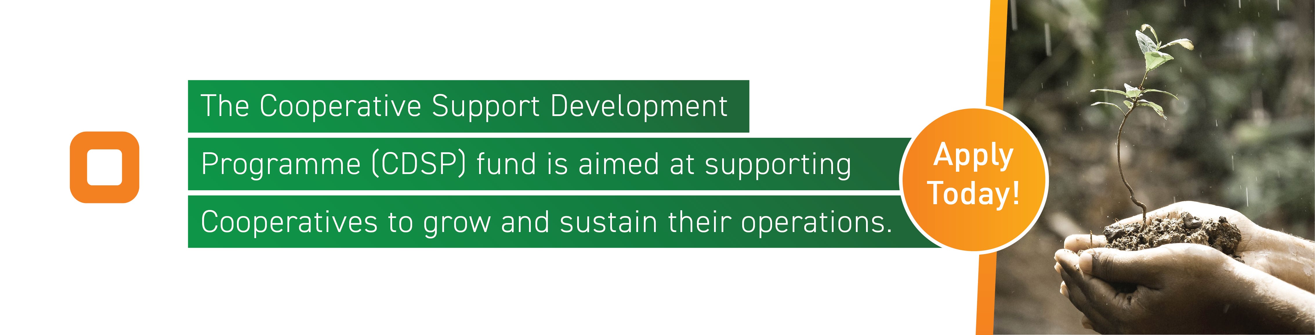 Cooperative Development Support Programme (CDSP)