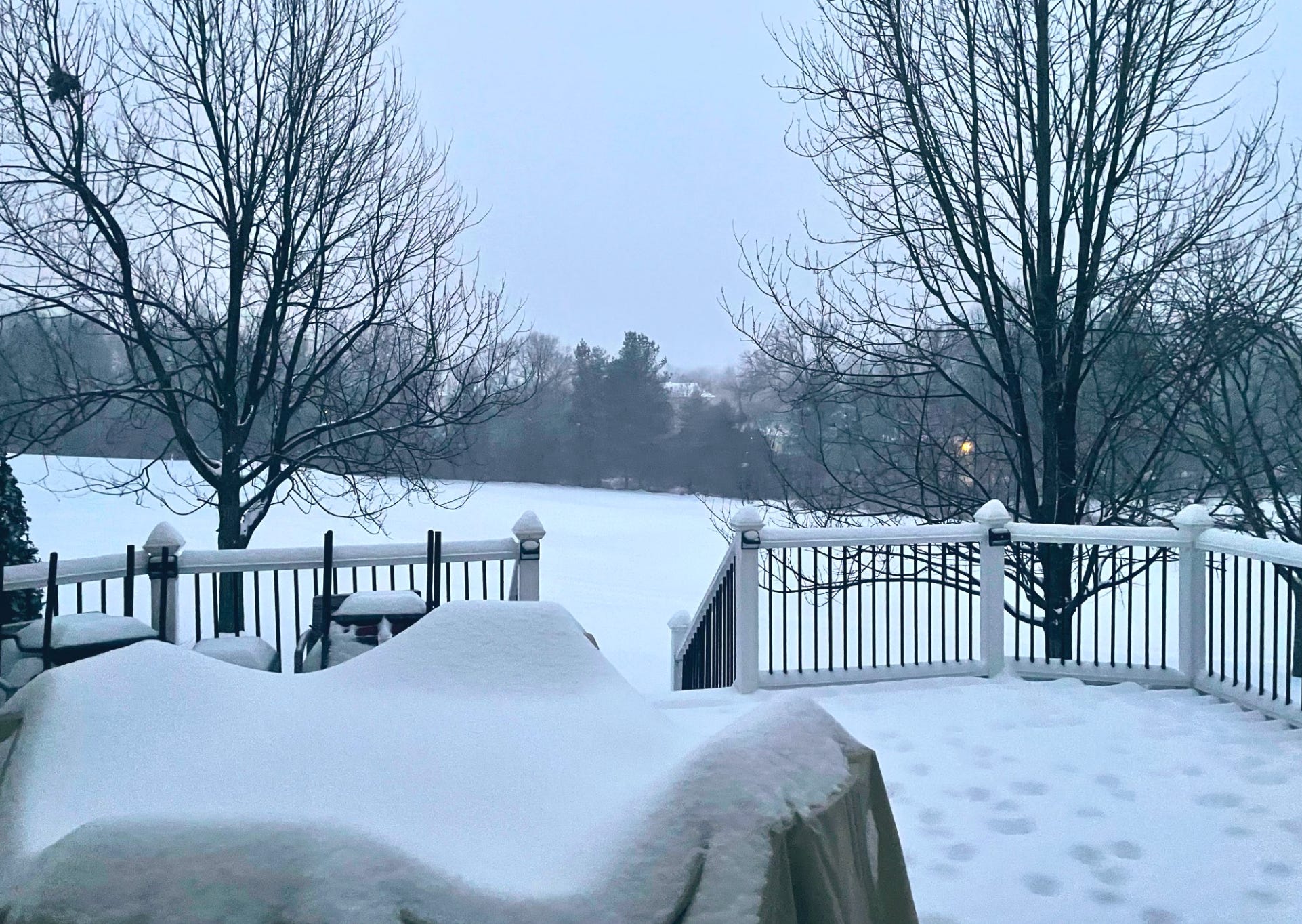 10 Virginia ︎ Snow Photos - BLACK VIRGINIA NEWS