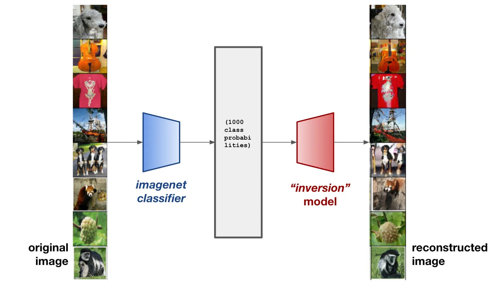 All AI Models Might Be The Same - by Jack Morris