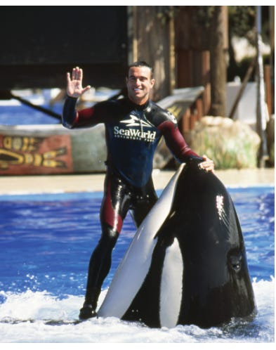 Reseña: “Beneath the surface: Killer Whales, SeaWorld, and the Truth ...