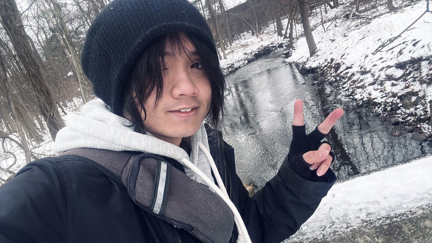 falling for it - by t.j. zhang - my life in a nutshell