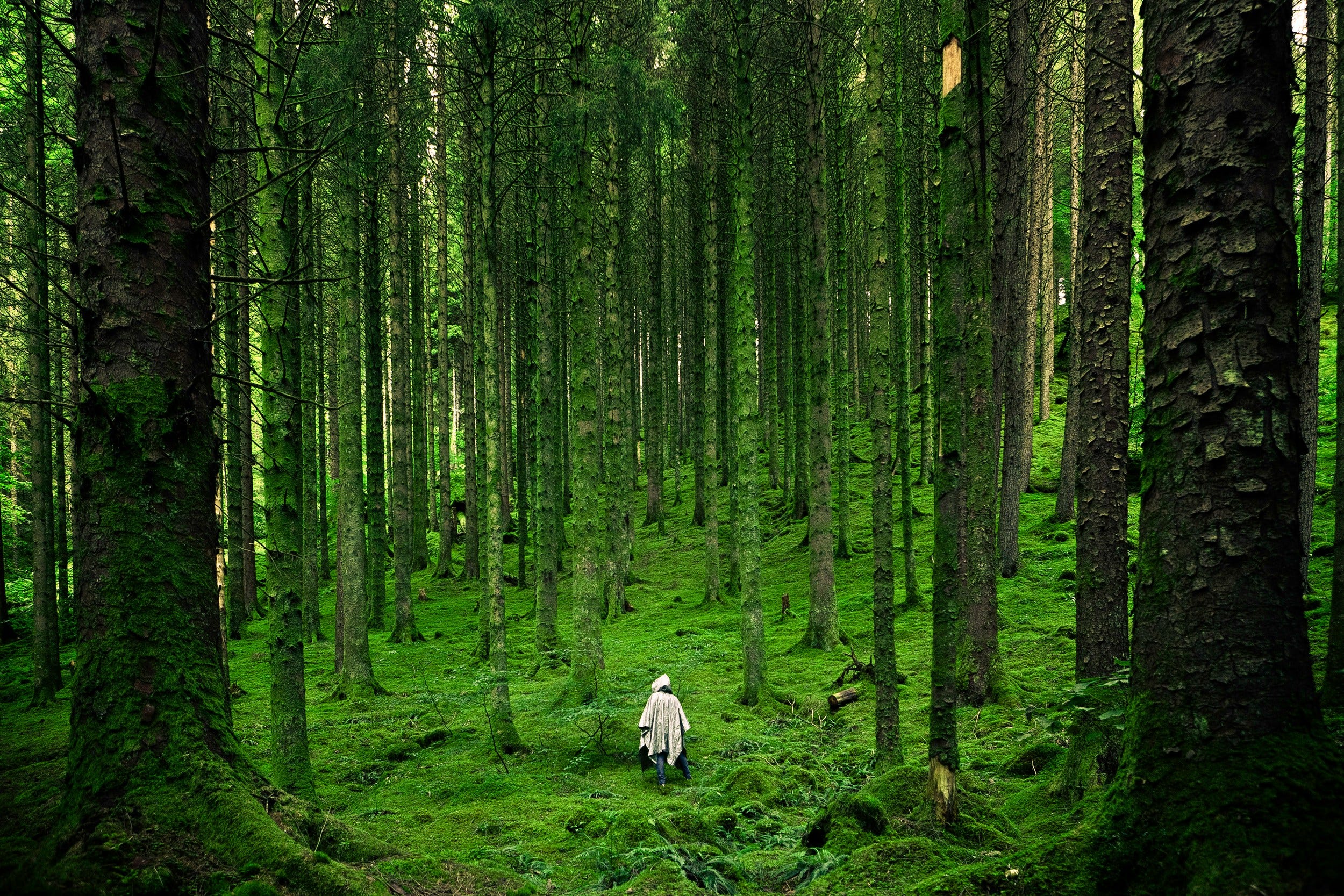 “Remembering What Nature Already Knows” - founding_up