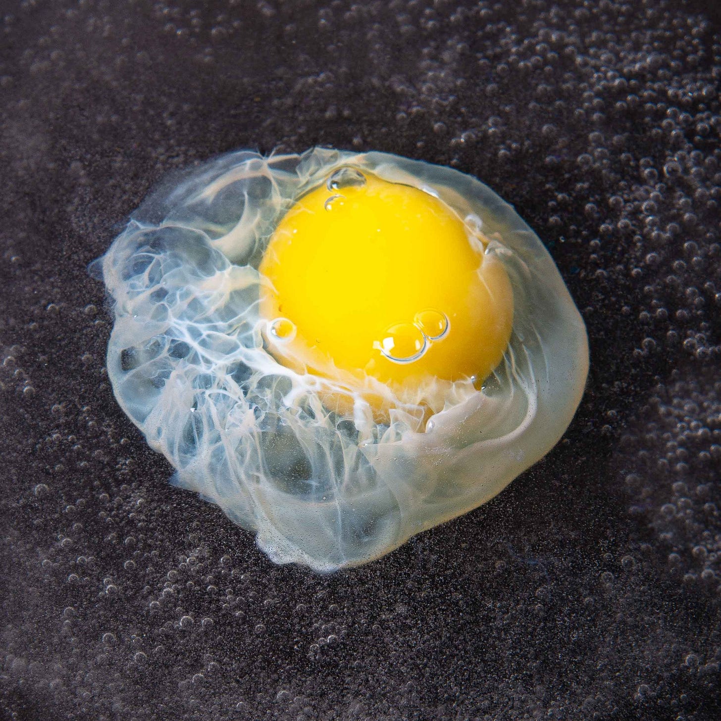 Het perfect gekookte eitje - Koken met Kennis