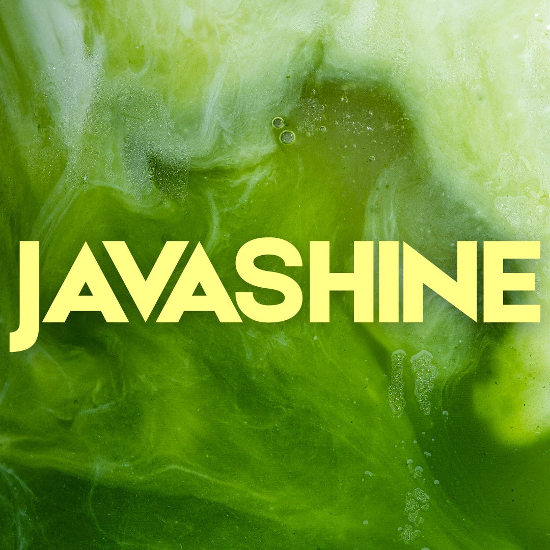 Javashine - by Sarah Bluett - Aw Shucks