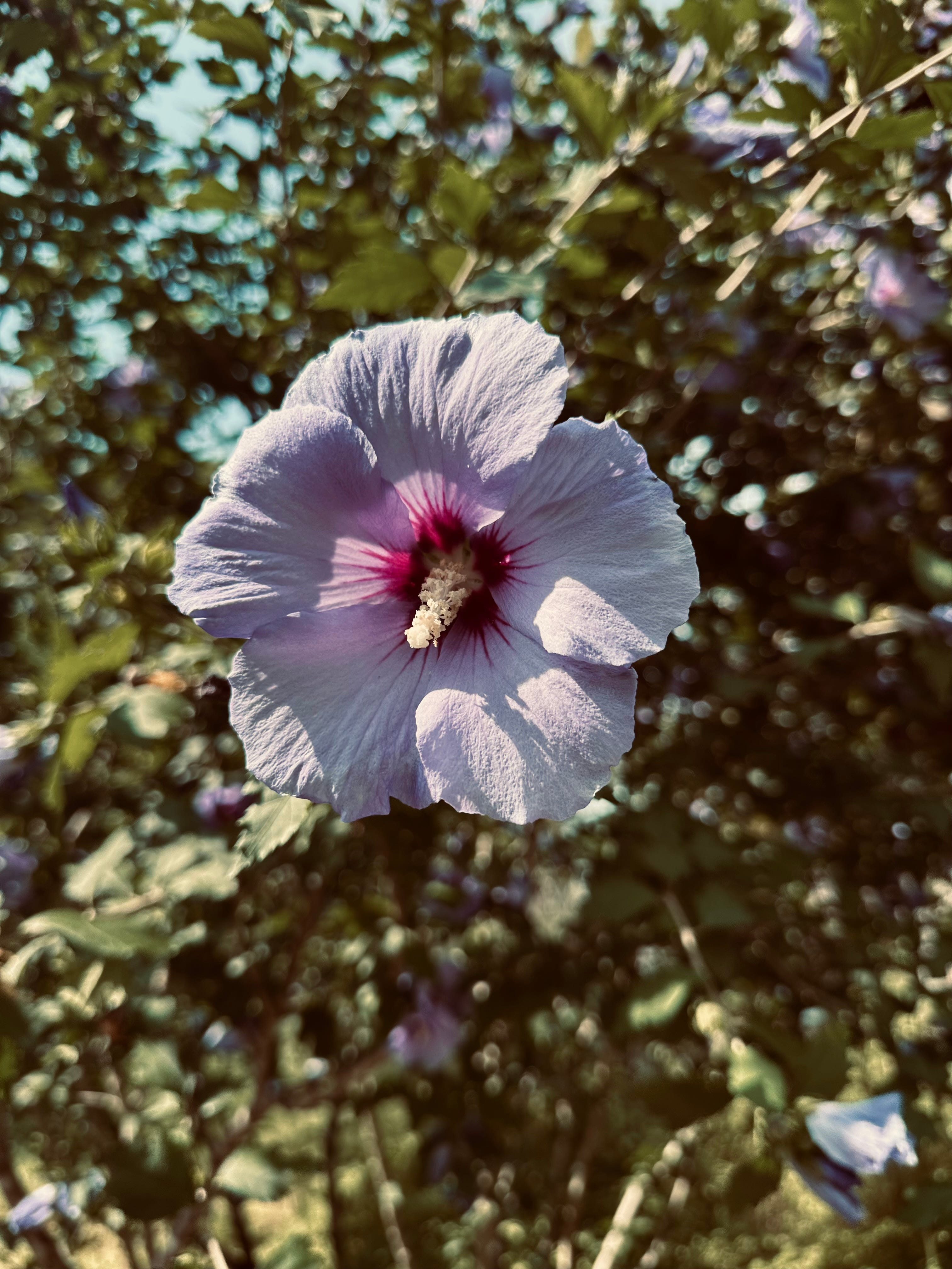 What Resentment Can Teach Us - by Nedra Glover Tawwab